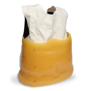 Fats & Muscle Replicas – Nasco Nutrition