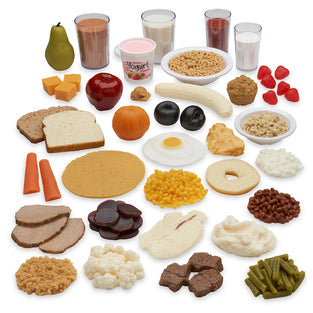 Food Replica Kits – Nasco Nutrition