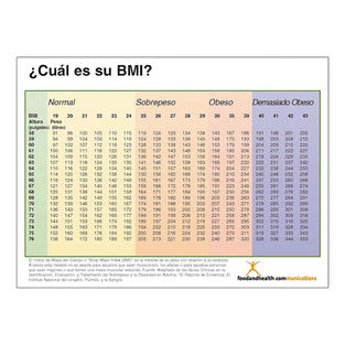 HANDOUTS BMI SPANISH PK 50 – Nasco Nutrition